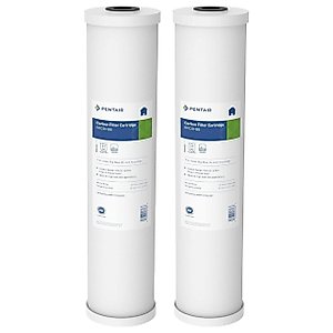 Pentair Pentek RFC-20BB Big Blue Carbon Water Filter, 20-Inch, Whole House Heavy Duty Radial Flow Carbon Replacement Cartridge with Granular Activated Carbon (GAC) Filter, 20" x 4.5", 25 Micron