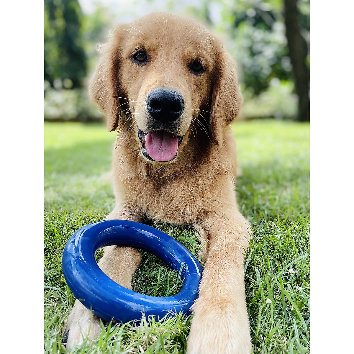 Tuff Pupper SuperChewy Tough Dog Ring Toy Strong Natural Rubber | Dog Chew Toy for Aggressive Chewers | Durable Tug Toy | Strong Dog Ring Toy | Large Breed Tested