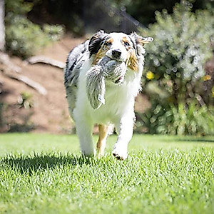 Hyper Pet Doggie Tail Interactive Plush (Wiggles, Vibrates, and Barks – Dog Toys for Boredom and Stimulating Play)