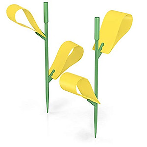 Houseplant Sticky Stakes - Yellow Sticky Traps for Gnats Indoor and Outdoor - Gnat Traps for House Plants (44 Traps)