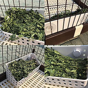 kathson Hay Feeder for Rabbit, Bunny Hay Holder Guinea Pig Hay Feeder Plastic Hay Rack for Rabbits Small Animal Chinchilla Ferret (7.5 X 4.7 X 5.5 inch)