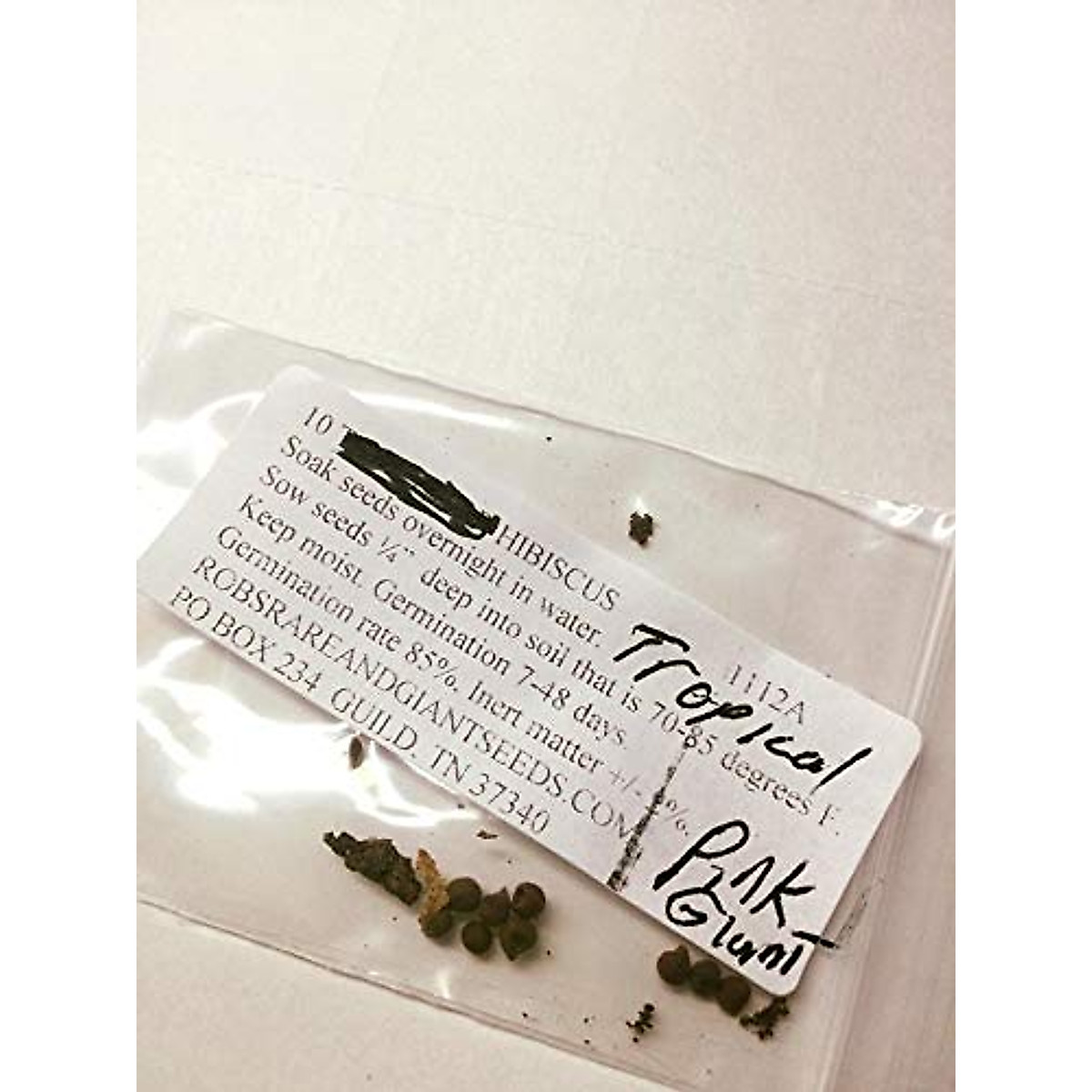 1112A-Tropical Hibiscus, Giant Pink (Hibiscus rosa-sinensis) Seeds by Robsrareandgiantseeds UPC0764425787105 Non-GMO,Organic,USA Grower, Cold Hardy, 1112-A Package of 10 Seeds