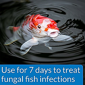 Mars Fishcare 178B Accu-Clear- Water Clarity