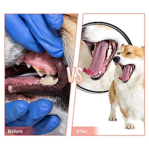 MONDOTOY Dog Chew Toys,Durable Rubber Slipper Toy for Puppy,Dog Tough Toys for Pet Training and Cleaning Teeth,Interactive Puppy Toys Aggressive Chewers Small Meduium Breed