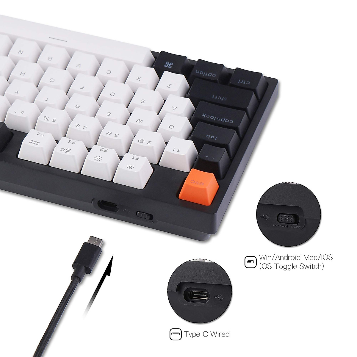 Keychron C1 Hot-swappable Wired Mechanical Keyboard with Gateron G Pro Blue Switch/Double-Shot ABS Keycaps/White Backlight/USB Type-C Cable, Tenkeyless 87 Keys Computer Keyboard for Mac Windows PC