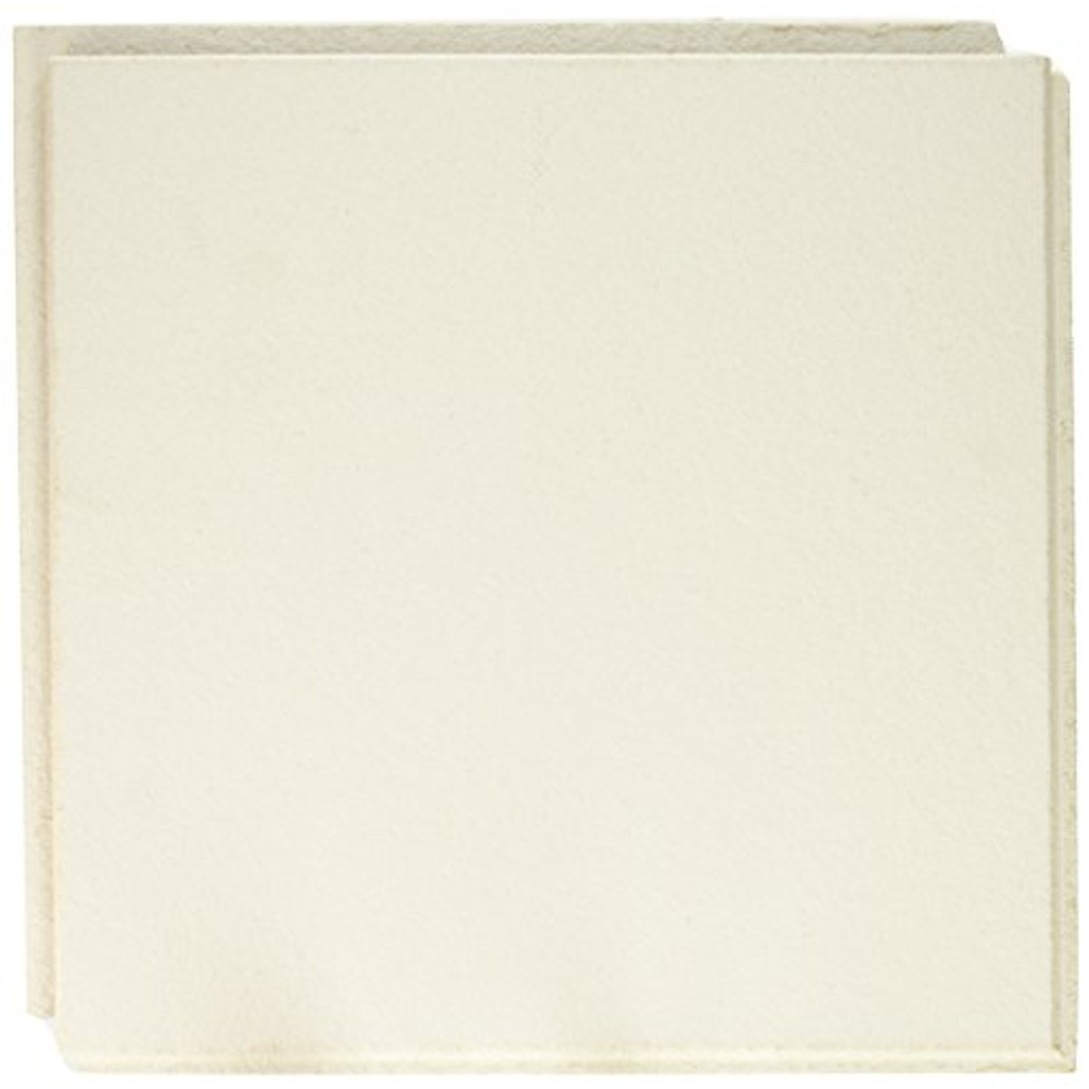 USG INTERIORS 4290 12x12 Ceil Tile, 12" x 12"