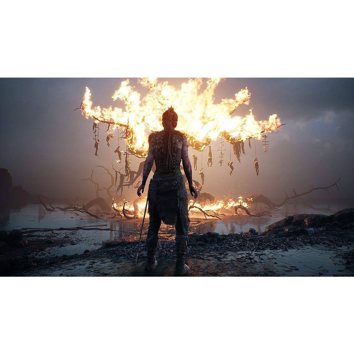 Hellblade: Senua's Sacrifice (PS4)