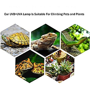 YXW UVA+UVB Bulbs, Heat and Light for Reptiles and Amphibian Tanks, Terrariums and Cages | Works with Various Lamp Fixtures