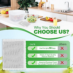 PROKITCHEN Carbon Filter Refills Compatible with OXO Greensaver Produce Keeper & Crisper Inserts, Compatible with Bluapple Produce Saver Balls, Filter Refill Bags, Keep Fresh Packet Refills, 8PCS