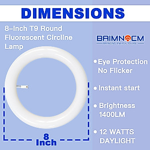 Celiwace T9 LED Circline Light Bulb, FC8T9/DL Led Replacement for GE Philips Sylvania 8 Inch Circular Fluorescent T9 22W, Day Light 1500LM 2 Count