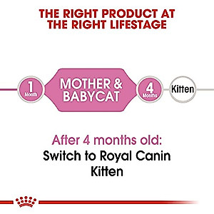 Royal Canin Feline Health Nutrition Kitten Dry Cat Food, 7 lb bag