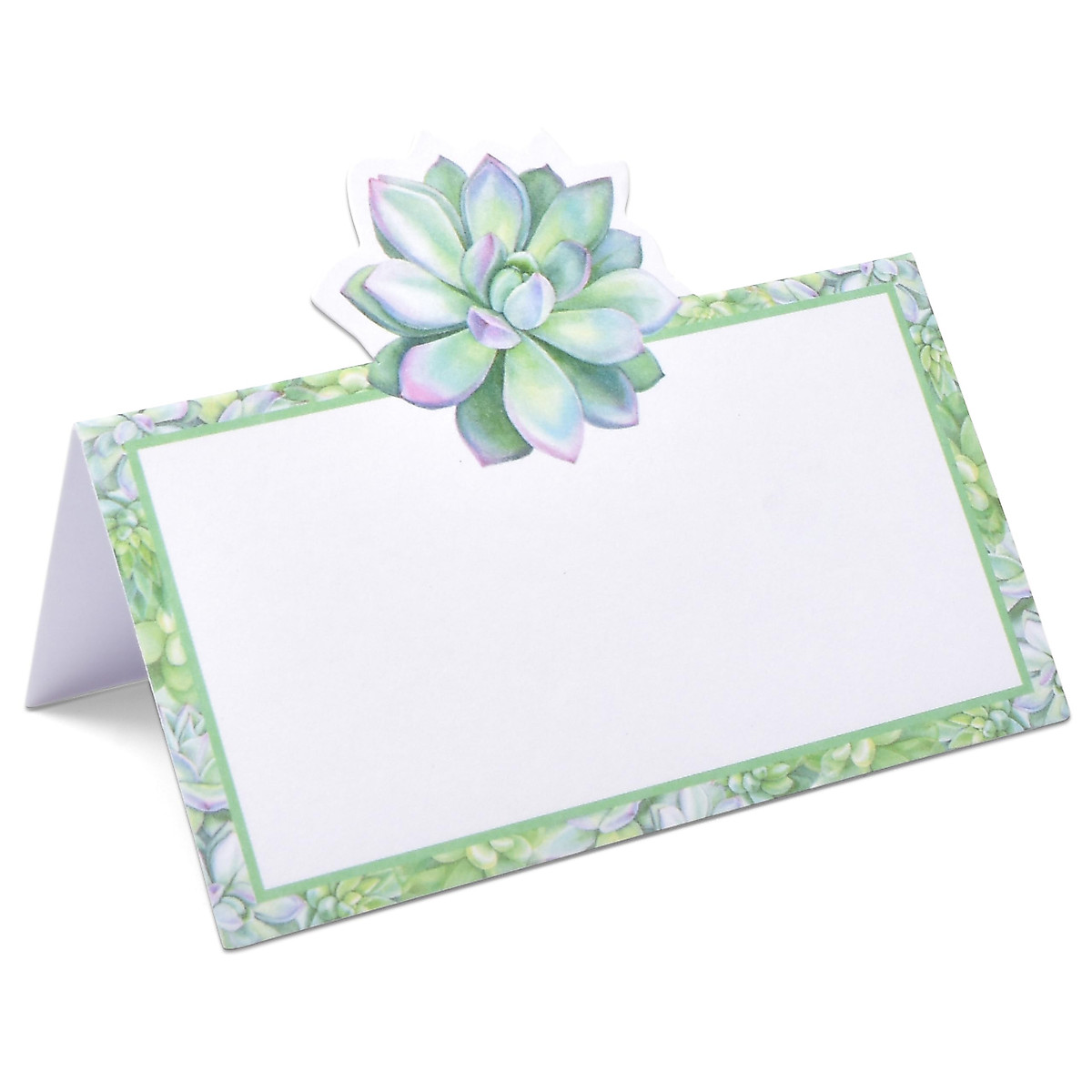 100 Succulent Place Cards Cactus Floral Green Leaves Succulents Name Card Wedding Table Setting Folded Tent Cards for Baby Shower Dinner 2" x 3.5"