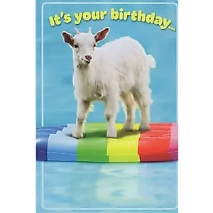 Heartline Funny Goat Themed Happy Birthday Card - It's Your Birthday... Do Whatever Floats Your Goat!
