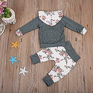 Baby Girls Long Sleeve Flowers Hoodie Top and Pants Outfit with Kangaroo Pocket (12-18 Months, A)
