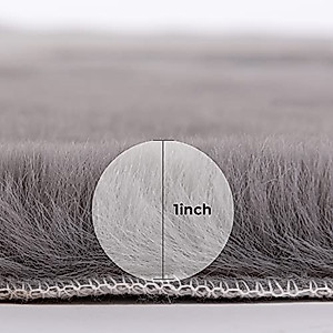 HYSEAS Luxurious Faux Rabbit Fur Rug, 3x5 Feet Rectangle Ultra Soft Fluffy Plush Shaggy Carpet Throw Area Rug for Floor, Sofa, Bedroom, Living Room, Home Decoration, Grey