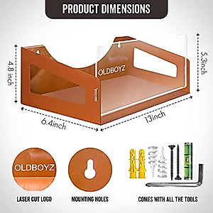 OLDBOYZ Vinyl Record Holder - Tabletop or Wall Mount Vinyl Record Storage Display Shelf- Fits Up to 40 12”LP Albums - Copper
