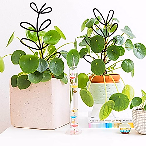 Garden Trellis for Climbing Plant Iron Pot Trellis Leaf Shape 2 Packs 12’’ Black Coated Wire Indoor Houseplant Home Plant Tool Plant Lover Gifts Ideas