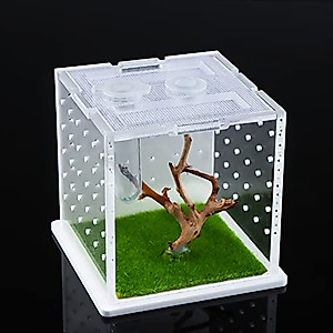 Spider Acrylic Breeding Box, Tarantula Transparent Terrarium, Jumping Spider Feeding Box, Insect Habitat Hatching Container Cage