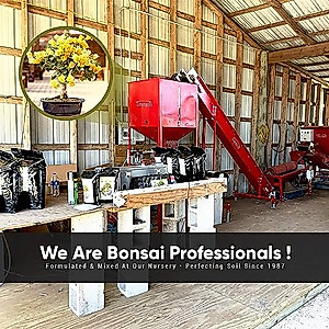 Tropical Bonsai Soil by Tinyroots - 100% Organic + Fast Draining Pre-Mixed Bonsai Potting Soil Mix, Perfect for Healthy Cacti and Bonsai Growth, 2.5 Quarts