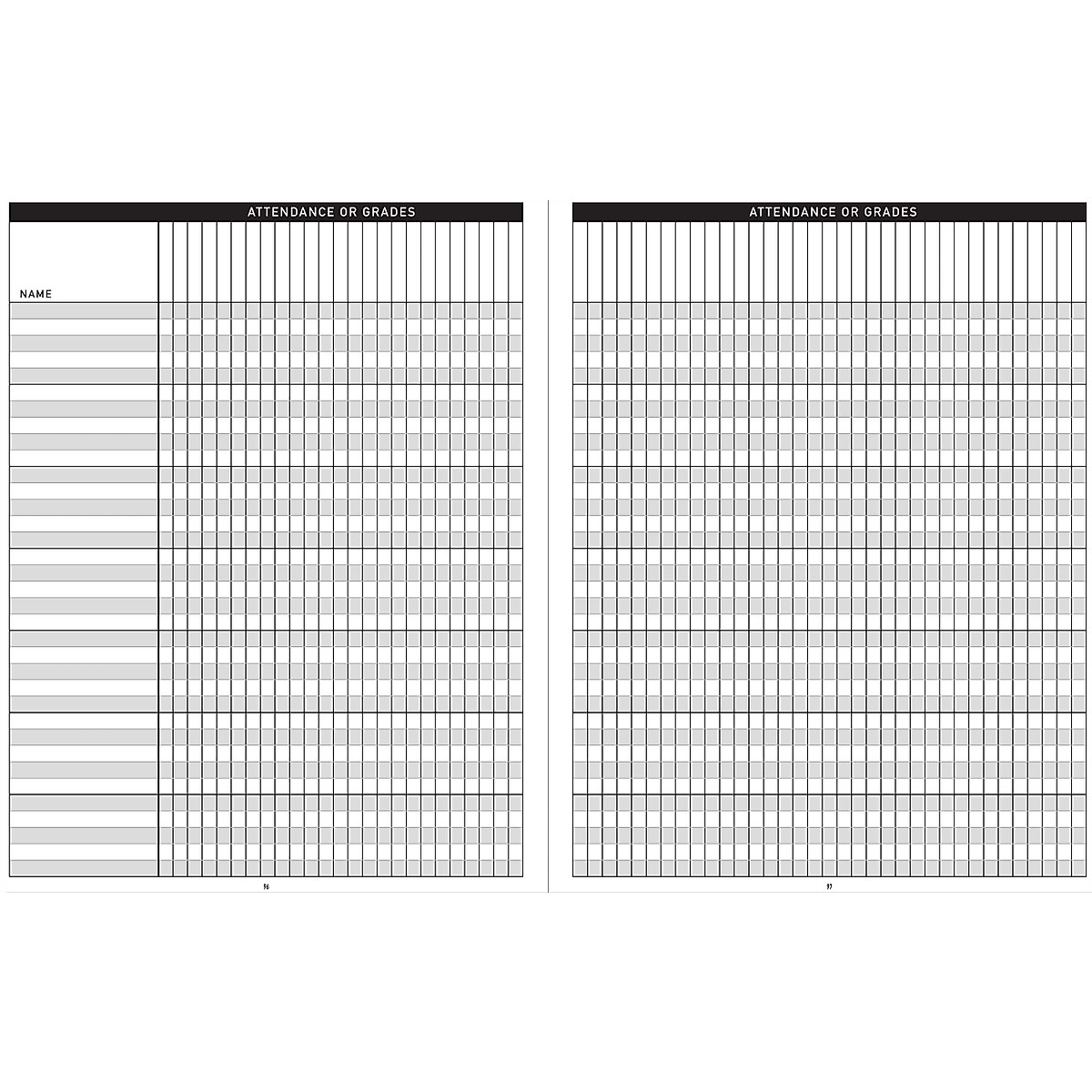 Teacher's Planner (Teacher's Lesson Planner)