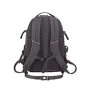 Coleman Elia 15 (Black)