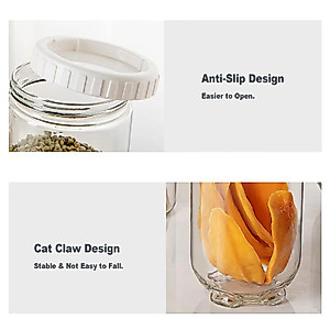 3-Piece Cute Glass Jars with Screw Airtight Lids, Wide Mouth Bottle Glass Storage Jars with Lids for Food Candy Grain Kitchen, Cat Claws Overnight Oats Containers Jars Small Stackable Canning Jar