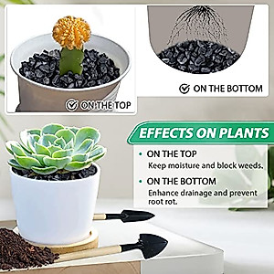 Succulent Rocks for Plants Tiny Pebbles for Planters 4.8LB Pea Gravel Bulk Polished Course Sand Soil Small Decorative Stones for Indoor Bonsai Pots Cactus Top Dressing Aquarium Garden Landscape, Black