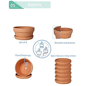 vensovo 5.7 Inch Terracotta Shallow Succulent Pot - 6 Pack Terra Cotta Clay Pots with Saucer, Cacuts Terra-Cotta Indoor and Outdoor Planters with Drainage Hole
