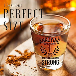 Onebttl Anniversary Cups for Couples, 1 Year Anniversary Funny Gifts for Boyfriend Girlfriend, 1.5 oz (45 ml) Shot Glasses Set of 2 - Annoying Each Other But Still Strong