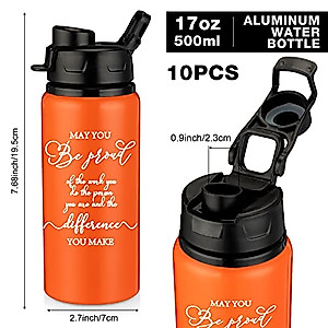 Sunnyray 10 Pcs Employee Appreciation Gift Reusable Water Bottle Bulk with Snap Lid May You Be Proud of the Work Thank You Group Team Gift for Coworker Teacher Friend(17 oz,Multicolor)