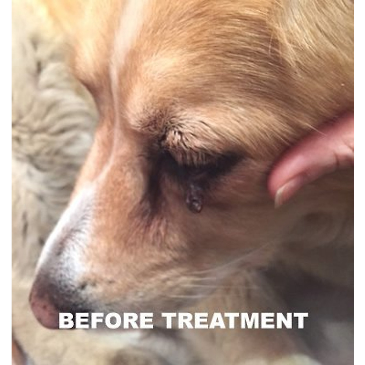 Dog Wart Remover (30ml) 100% Natural Painless Dog Warts Removal Treatment Skin Tag & Wart Remover for Dogs 1oz