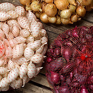 30 Mixed Onion Sets Yellow Onion Red White Onion Bulbs