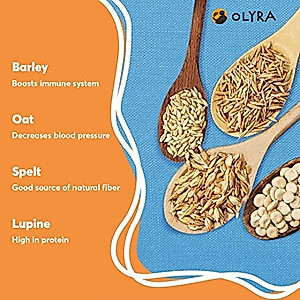 Olyra Breakfast Biscuits Cinnamon Tahini | Kids Healthy Snacks | Low Sugar, High Fiber, Plant-Based Protein | Breakfast Cookies 4 Count (Pack of 1)