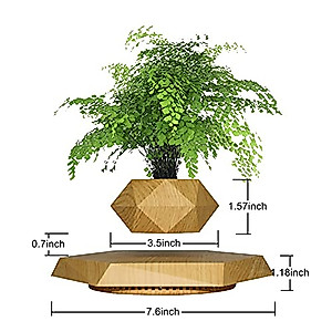 HCNT Levitating Plant Pot, Magnetic Levitation Flower Pot Rotating Planters Suspension Floating Plant Succulents Potted for Home Living Room Office Desk Decoration (Wood)