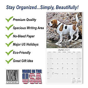 2023 2024 Beagle Calendar - Dog Breed Monthly Wall Calendar - 12 x 24 Open - Thick No-Bleed Paper - Giftable - Academic Teacher's Planner Calendar Organizing & Planning - Made in USA