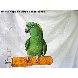 Polly's Beach Sands Bird Perch, Small