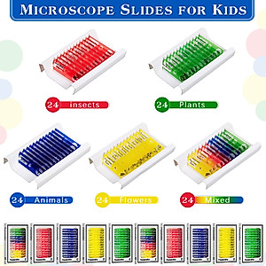 Yexiya 120 Pcs Kids Prepared Microscope Slides with Specimens Animals Insects Plants Flowers Specimens Microbiology Biological Sample for Student School Science Lab Supplies(48 Different Patterns)