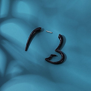 16g Graceful Tribal Spiral Fake Gauges Acrylic Ear Tapers Fake plugs Horn stud earrings (11 Pairs Mixed-styles)