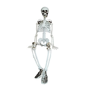 36” Halloween Skeleton Full Body Life Like Skeleton Model with Movable Joints for Halloween Decoration