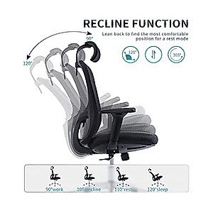 KARXAS Ergonomic Office Chair High Back Desk Chair with Adjustable Lumbar Support, Headrest & Armrest, Swivel Computer Task Chair (Black)