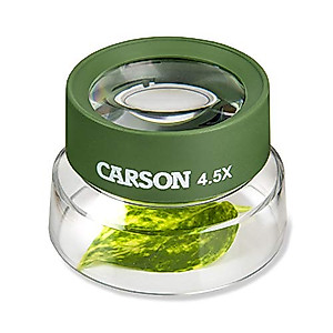 Carson Kids BugLoupe 4.5x Pre-Focused Stand Magnifier Loupe for Viewing Insects, Plants, Coins, Stamps, Maps, Fine Print and Wildlife (HU-55), Green, One Size