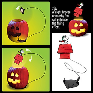 Pumpkin Masters Peanuts - Snoopy the Flying Ace Decorating, Carving & Lighting Kit : Easily Create the Illusion of Snoopy Flying Over Your Pumpkin! (High Intensity Light Included)