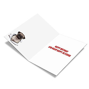 NobleWorks - 1 Cute Birthday Card with Envelope - Funny Wild Animals and Pets, Birthday Greeting - Dog Panicked C2233BDG