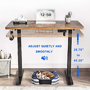 IYEE NATURE Electric Standing Desk, Dual Motor Adjustable Height Desk, 55 x 27.5 Inches Stand up Desk, Home Office Desk, Sit Stand Desk with Splice Board/Black Frame/White Top