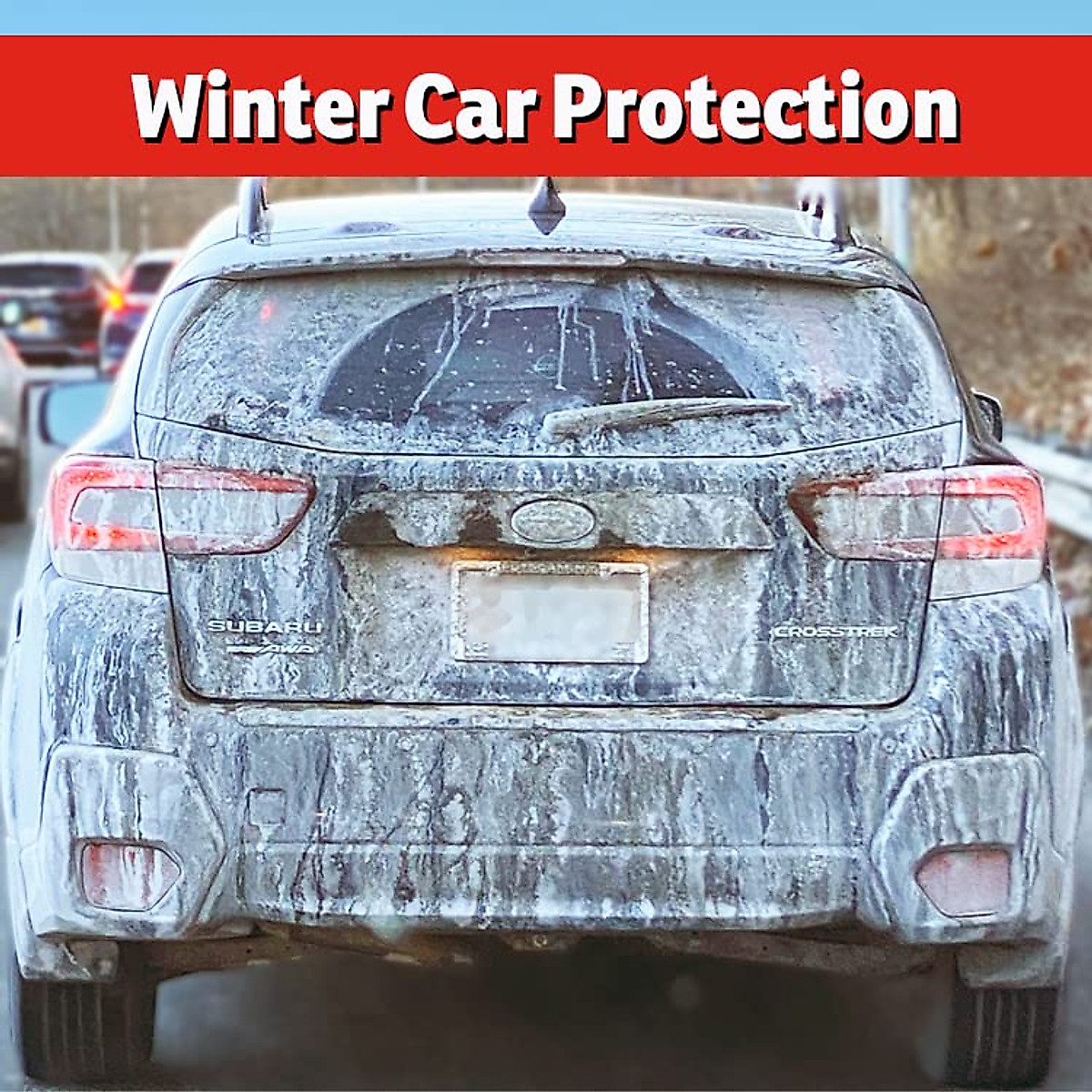 I Must Garden Salt & Brine Remover: Safely Removes Salt and Brine from Vehicles and Marine Equipment – 32oz Concentrate w/Hose End Sprayer