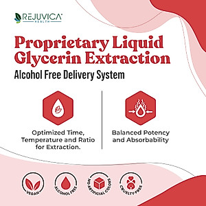 Ancient Pet Liver - Advanced Liver Support Supplement for Dogs - Liquid Delivery for Better Absorption - Milk Thistle, Dandelion, Artichoke & More!