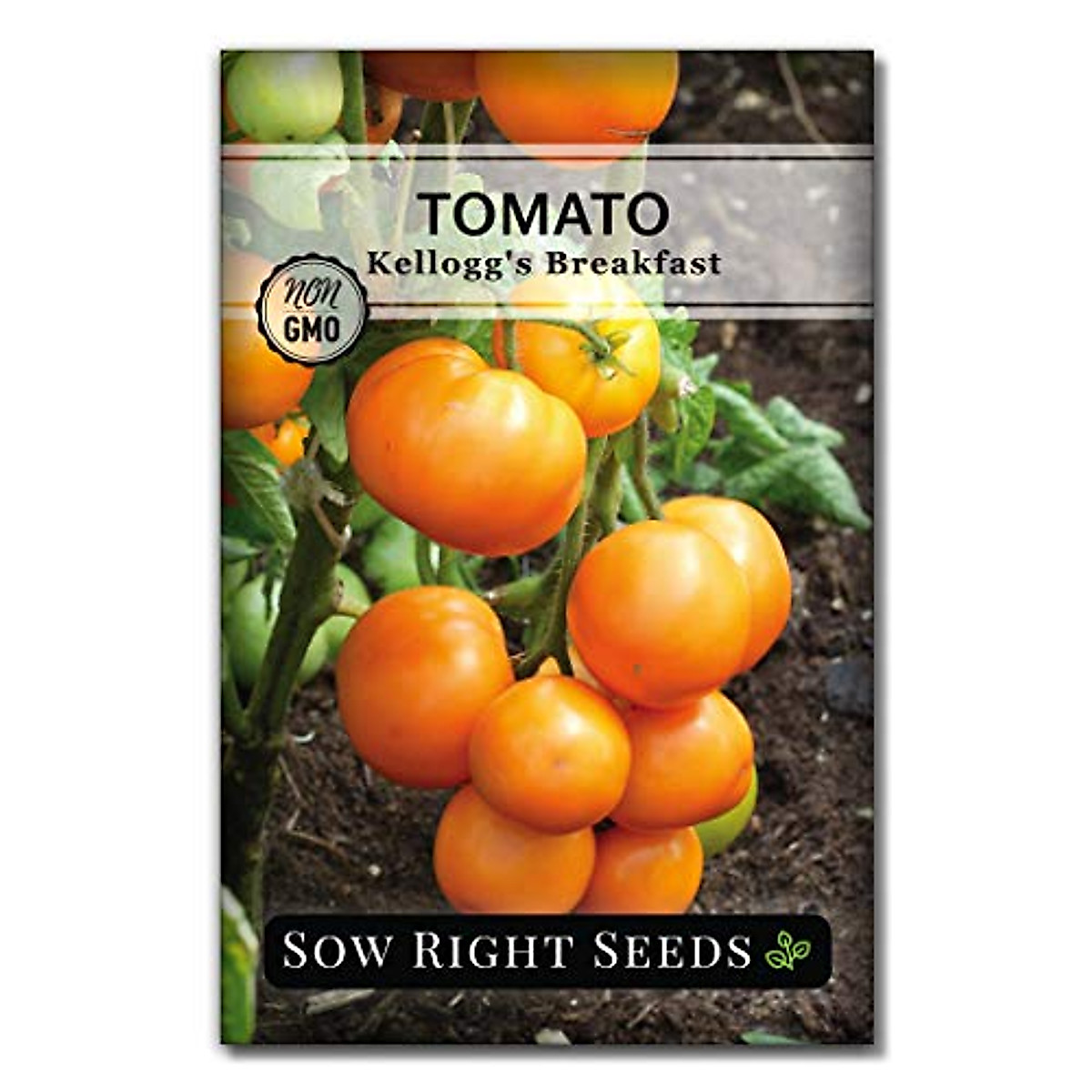 Sow Right Seeds - Kellogg's Breakfast Tomato Seed for Planting - Non-GMO Heirloom Packet with Instructions to Plant a Home Vegetable Garden