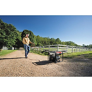 Honda 664342 EG4000 120V/240V 4000-Watt 270cc Portable Generator with Co-Minder