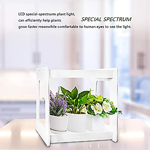 Indoor Herb Garden Light，Auto Smart Cycle Timer Funtion, Plant Grow Lamps Great Starter Unit for Growing herb/Plant Seeds，for Succulent, Rosemary, Vegetable, Basil(1 Layers)