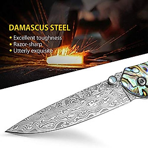 NedFoss Pocket Knife, Damascus Pocket Knife with Abalone Shell Handle, Handmade Forged Damascus Steel Folding Knife with Gift Box, Excellent Gifts for Men Women (A-Polar Bear)